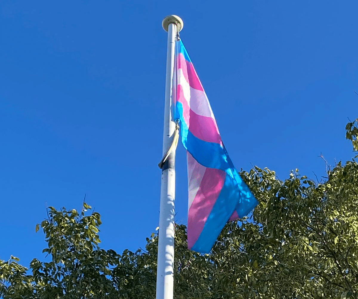 Contact Us | Trans.au